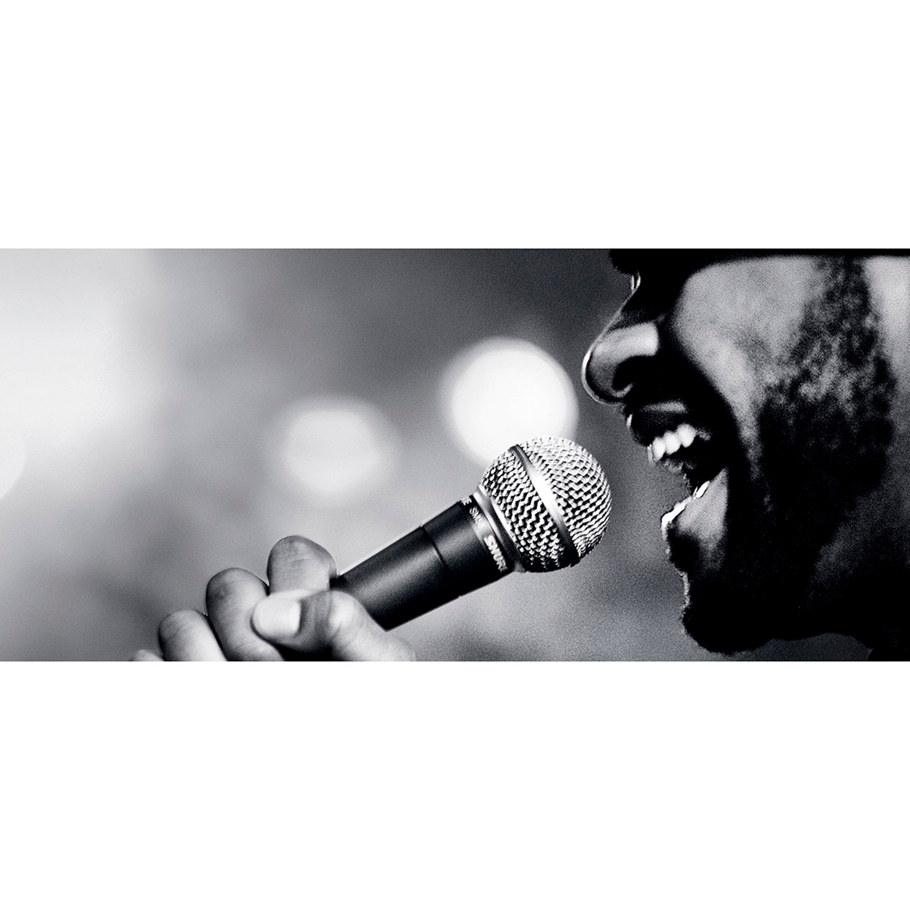 Shure SM58 micro dynamique cardioïde unidirectionnel pour voix