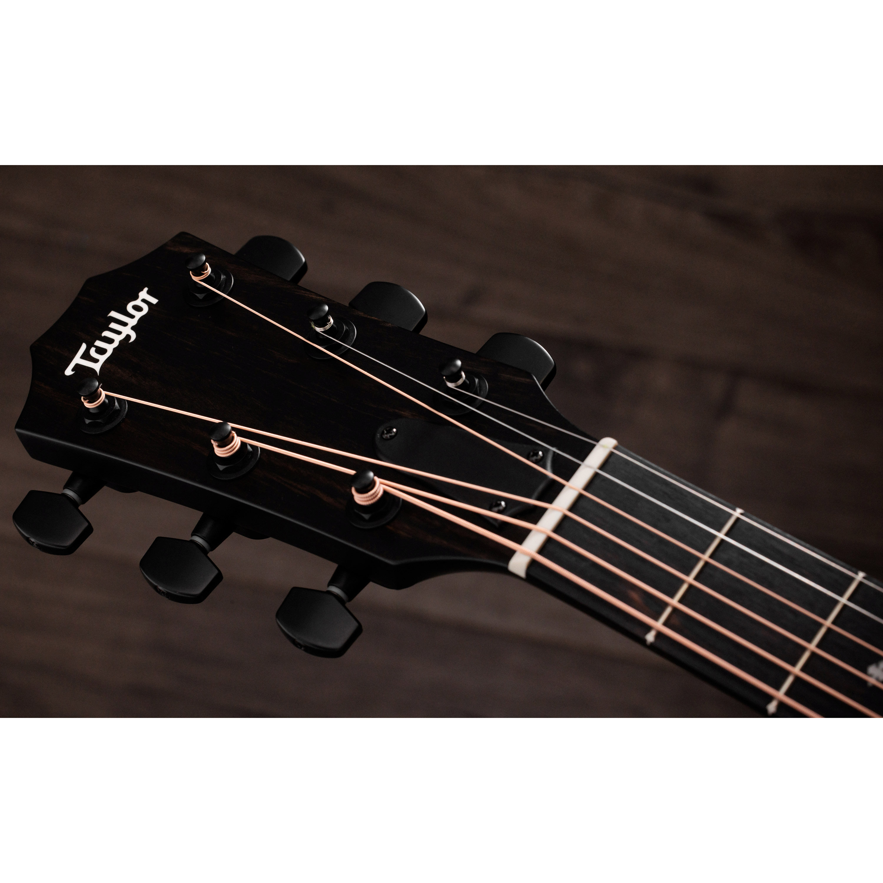 Taylor 214ce Plus Special Edition Blue - Guitare folk électro SonoVente.com