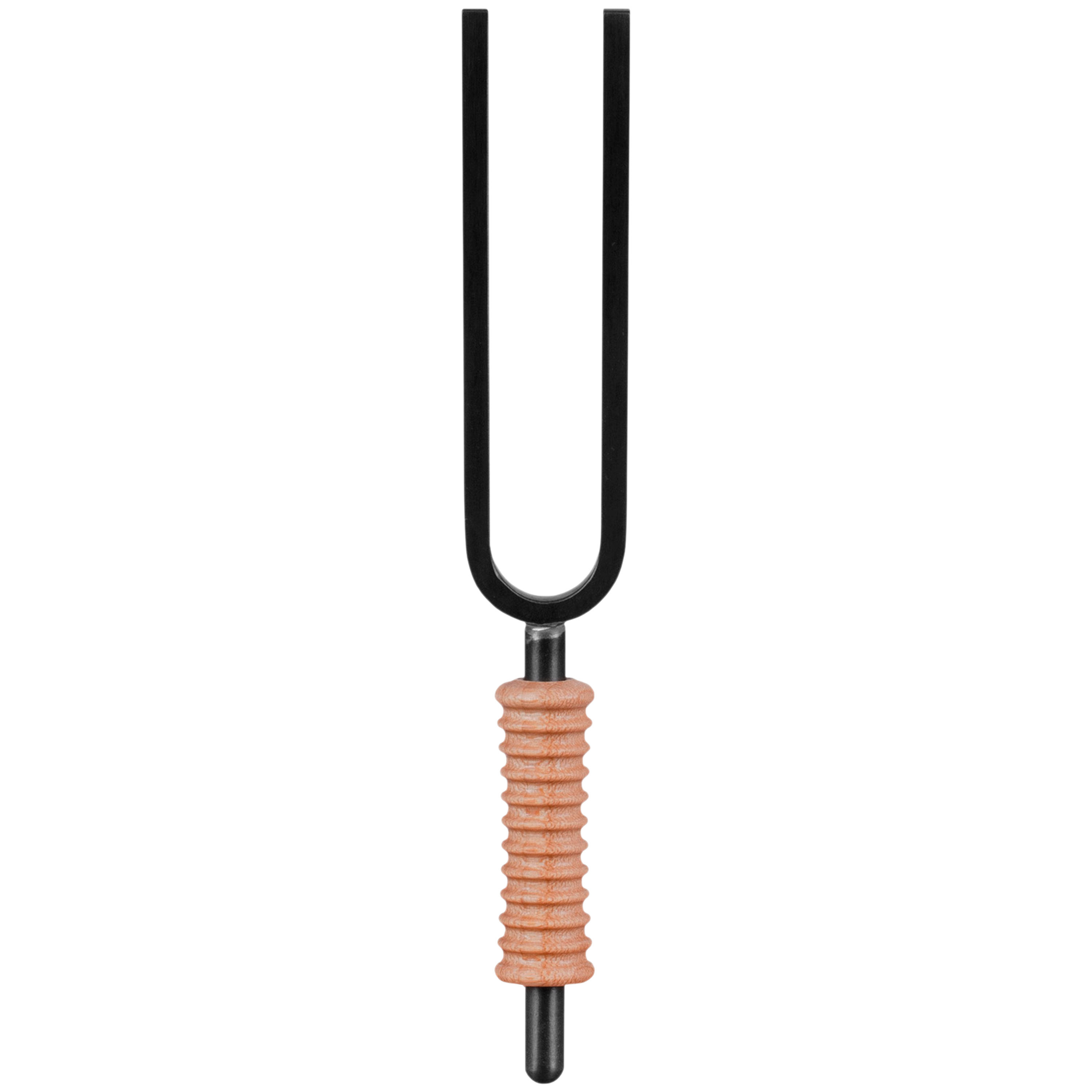 Schlagwerk STF-432 Diapason Champer Pitch 432 Hz - Accordeur SonoVente.com