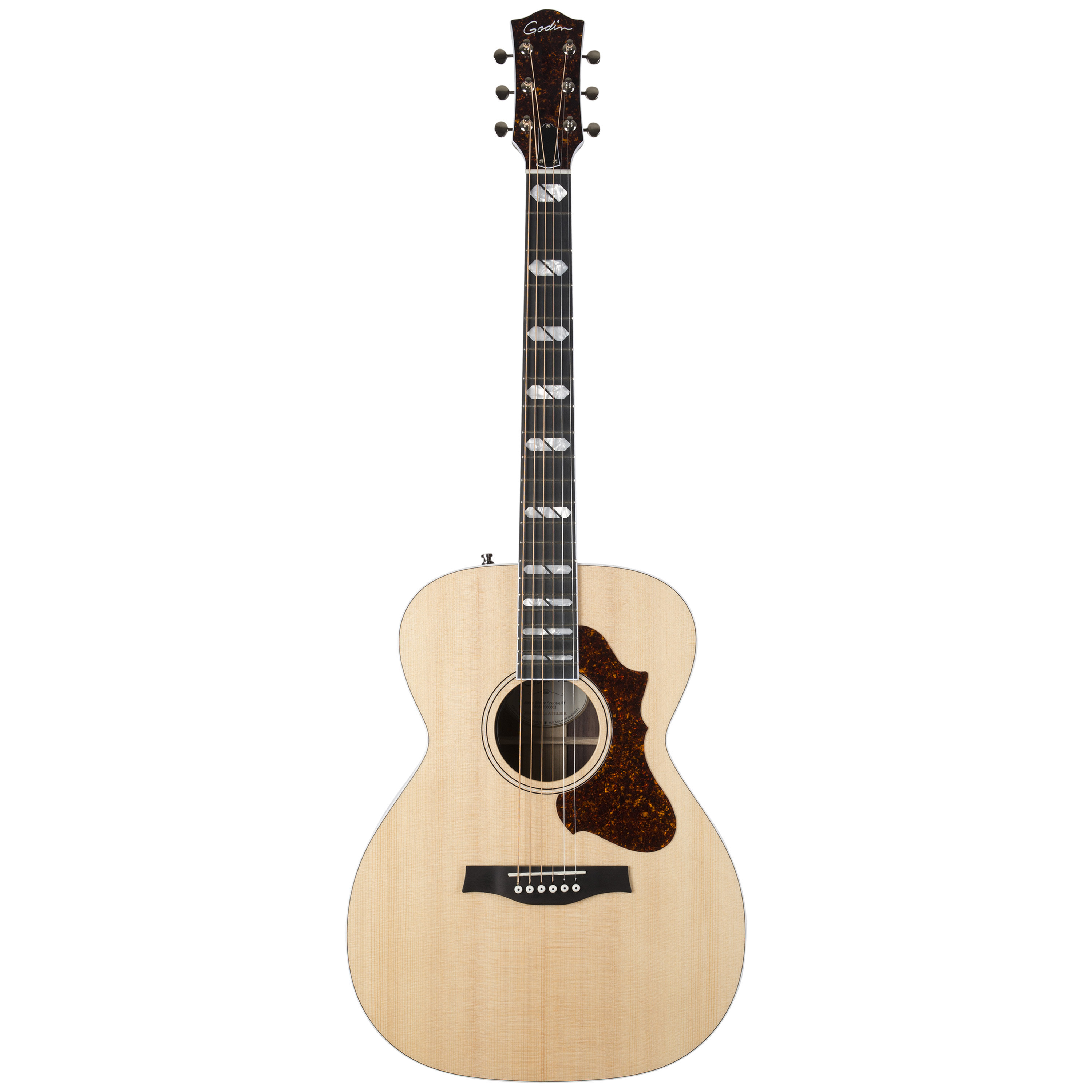 Godin Fairmount CH Ltd Rosewood CN HG + Housse - Folk Electro Acoustic ...