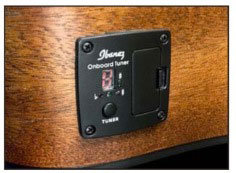 Ibanez PF58-OPN - Guitare folk SonoVente.com