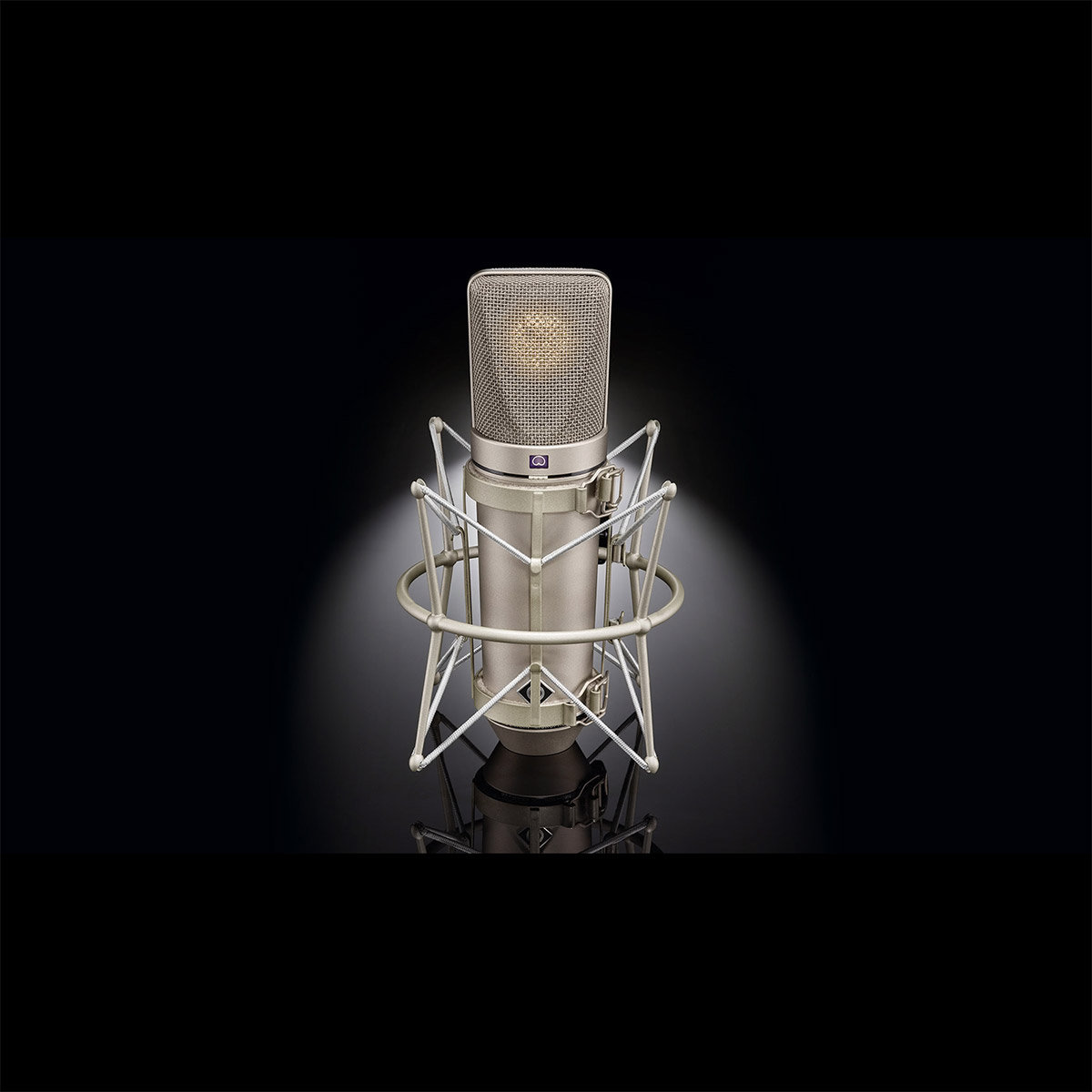 Neumann U67 Set - Static Microphone SonoVente.com - en