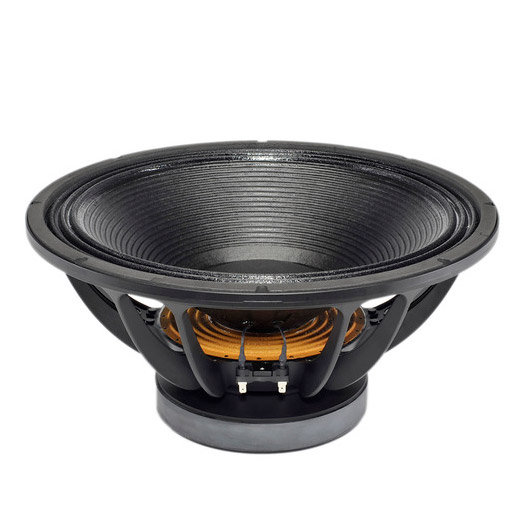 B&C Speakers 18TBW100 - Haut-parleur SonoVente.com
