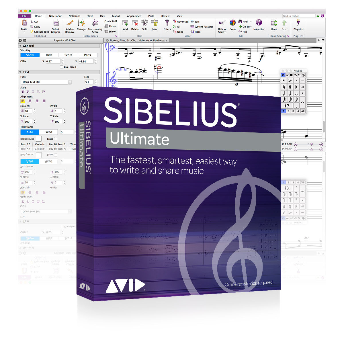 AVID Notation Sibelius Ultimate Perpetual + Neuratron Bundle EDU ...
