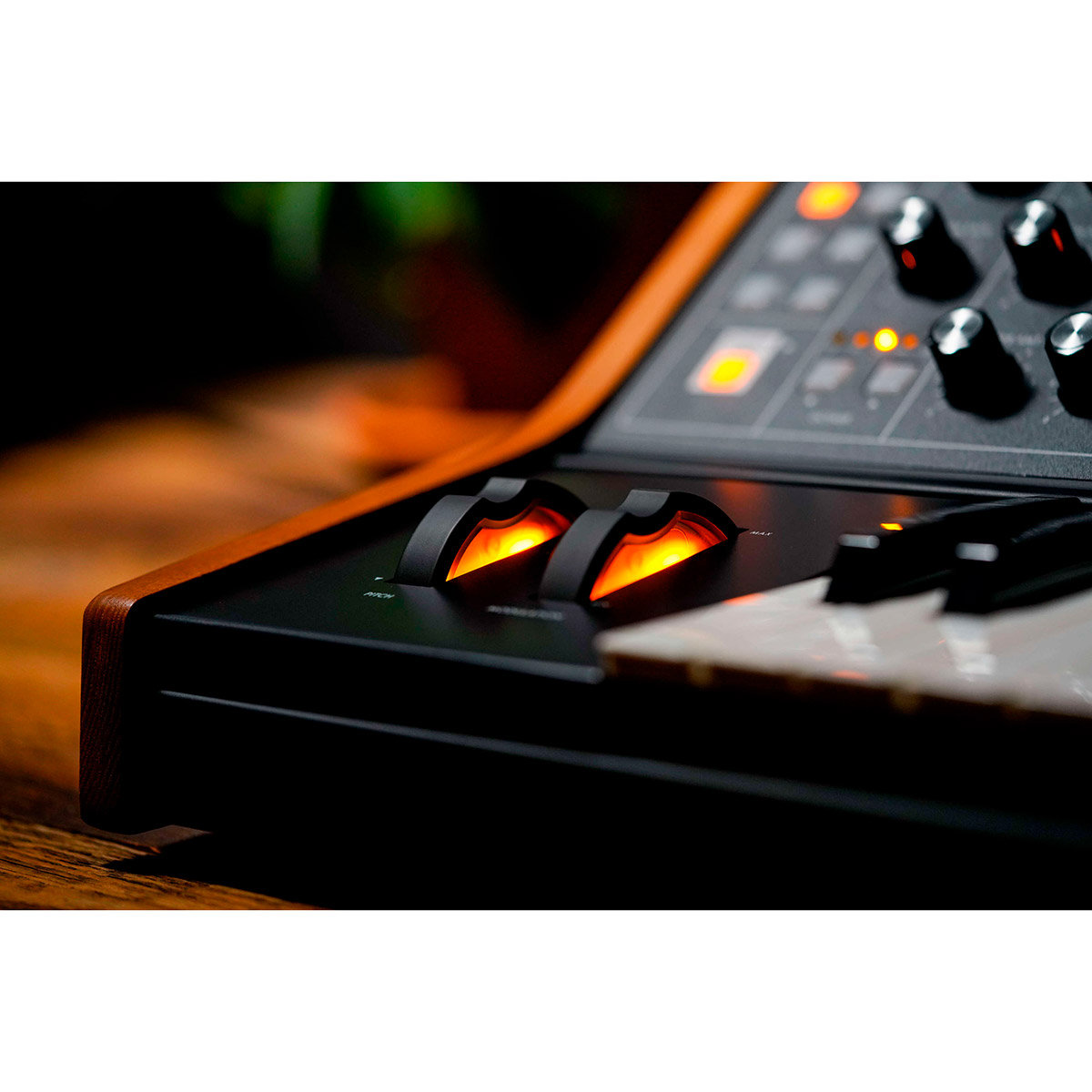 Moog Subsequent 25 - Synthétiseur SonoVente.com