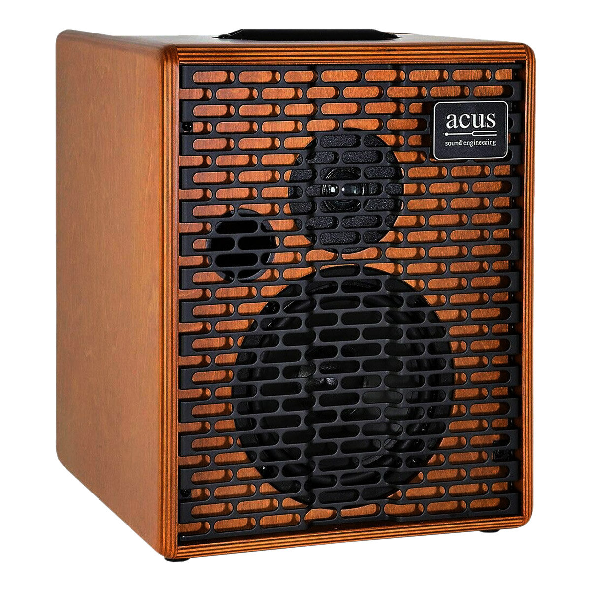 Acus ONE FORSTRINGS 6T Wood - Ampli guitare acoustique SonoVente.com
