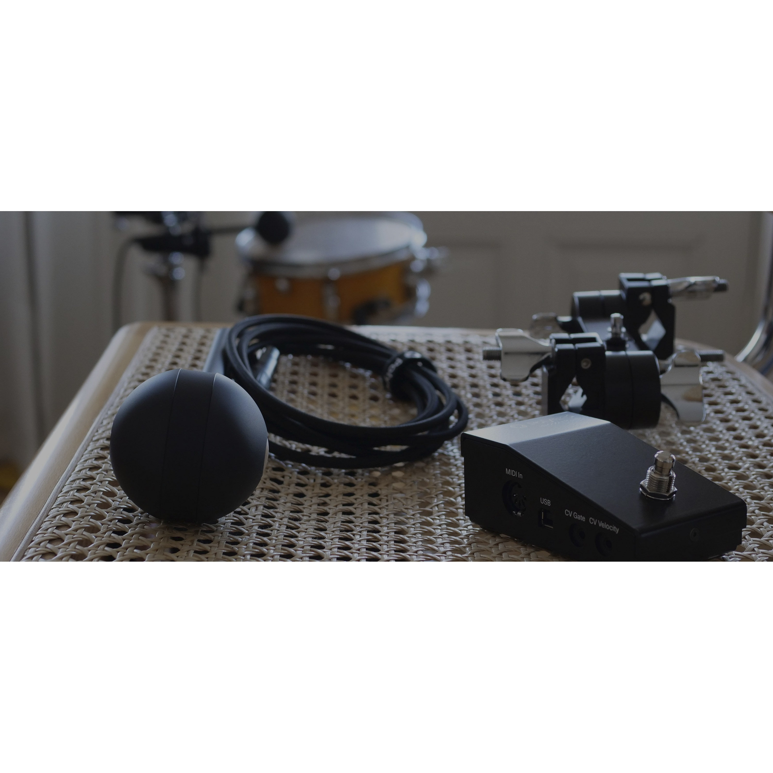 Polyend Perc - Synthétiseur SonoVente.com