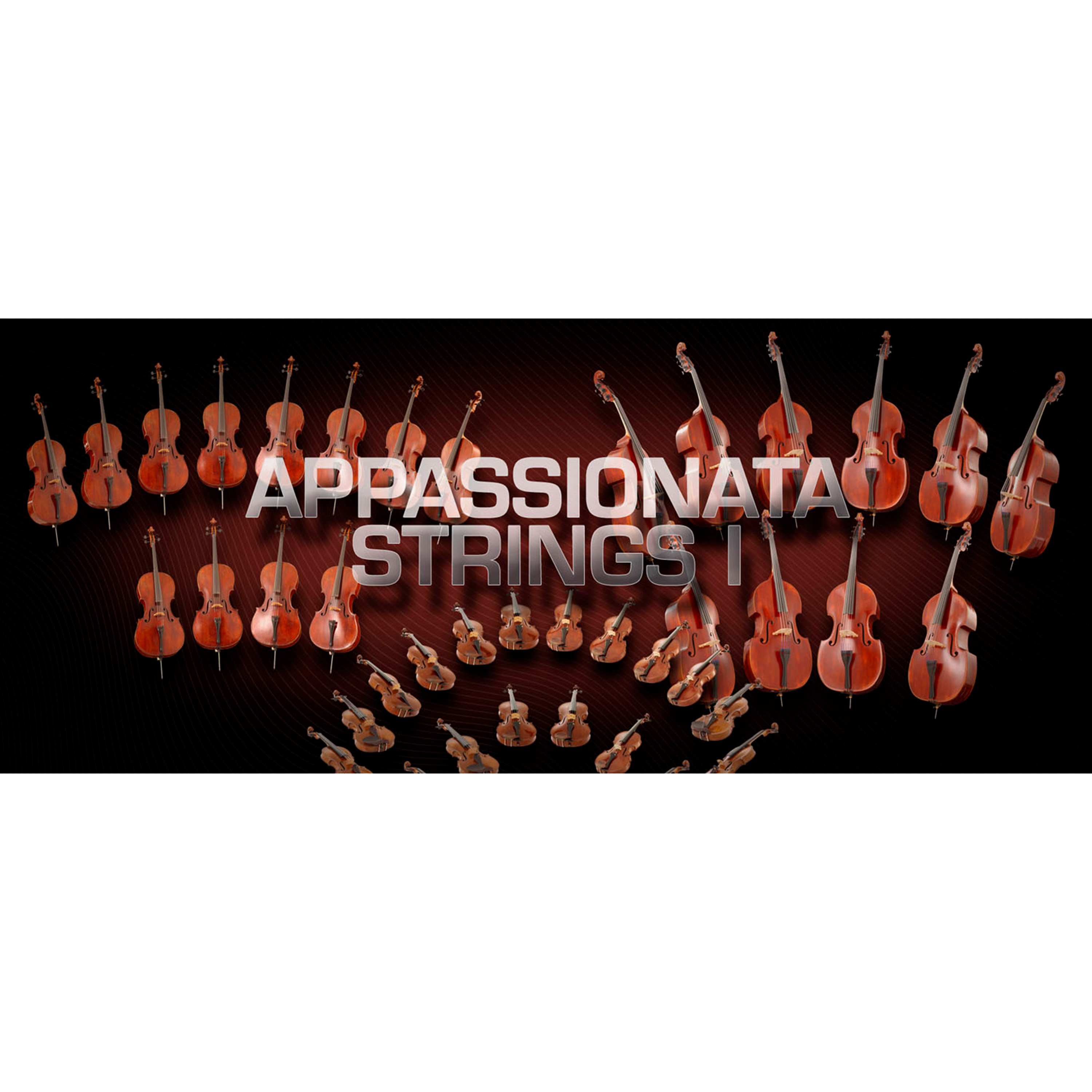 VSL Appassionata Strings Bundle Full - Software voor virtuele ...