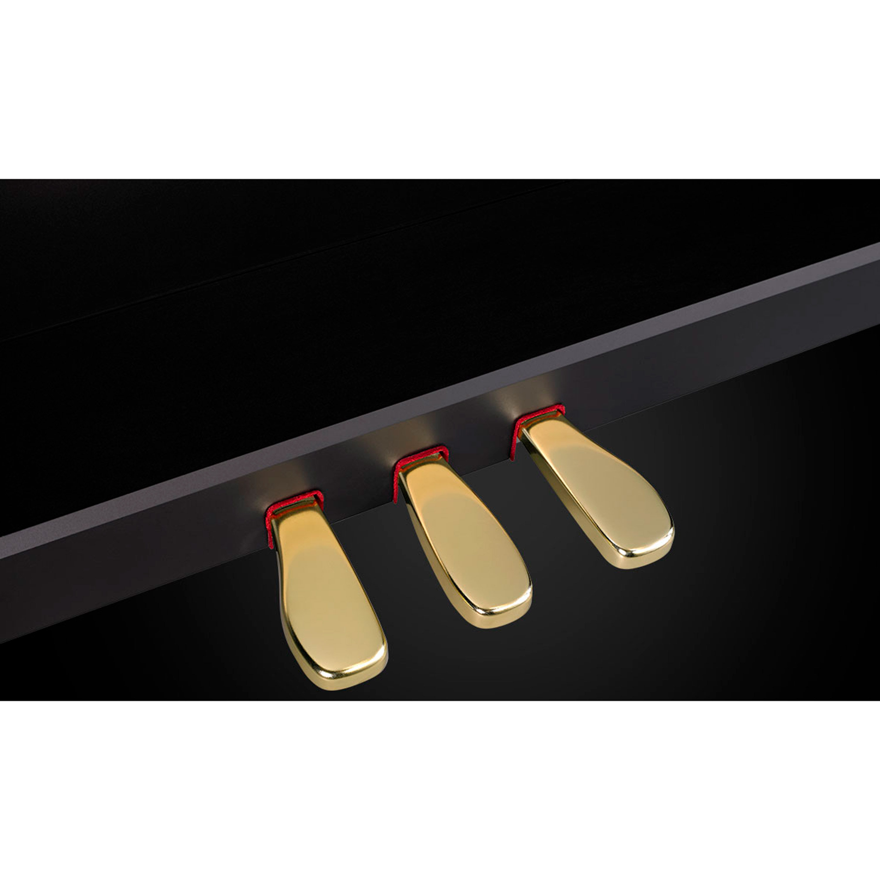 Casio GP-510 BP Celviano Grand Hybrid Black - Piano meuble SonoVente.com