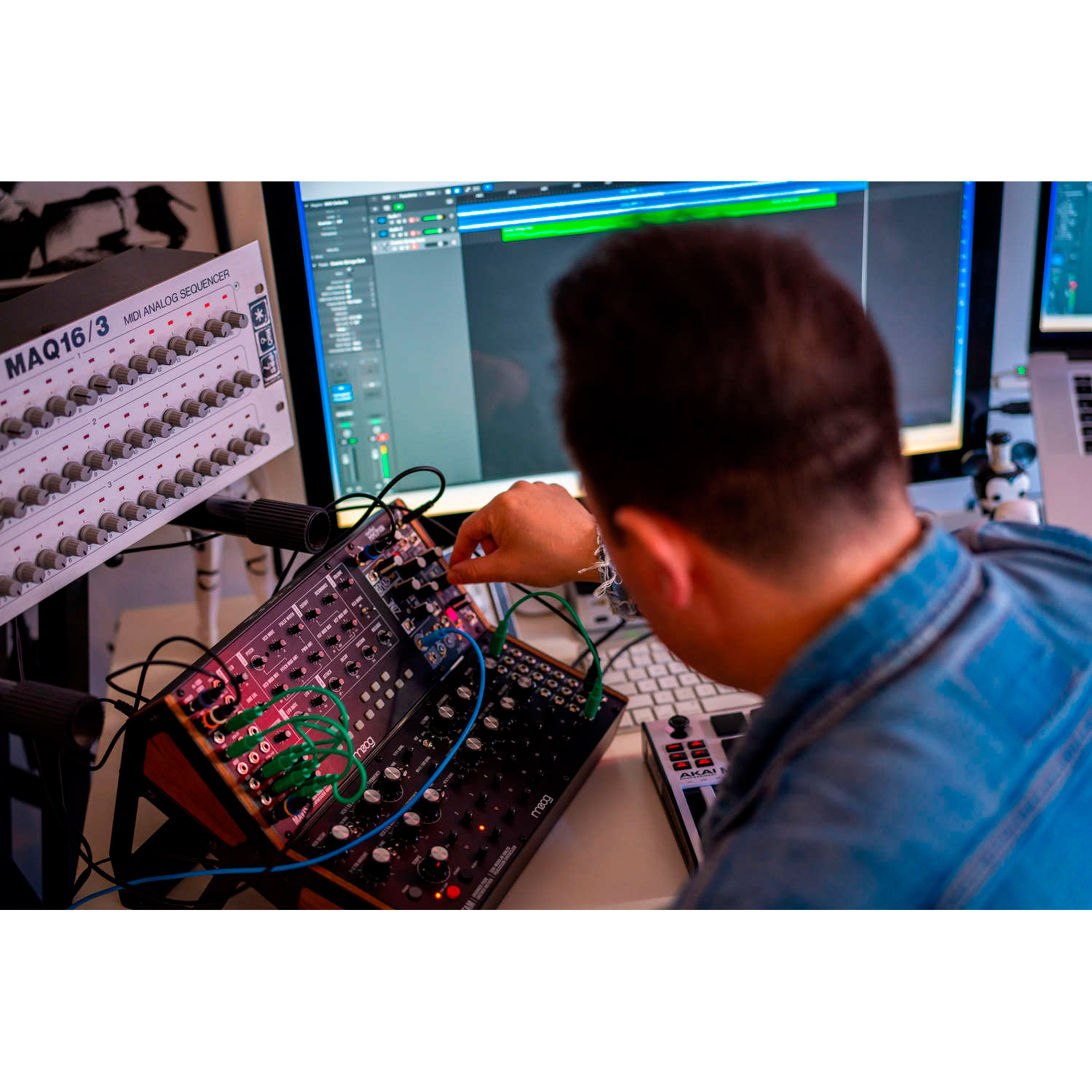 Moog Mavis - Rack synthétiseur SonoVente.com