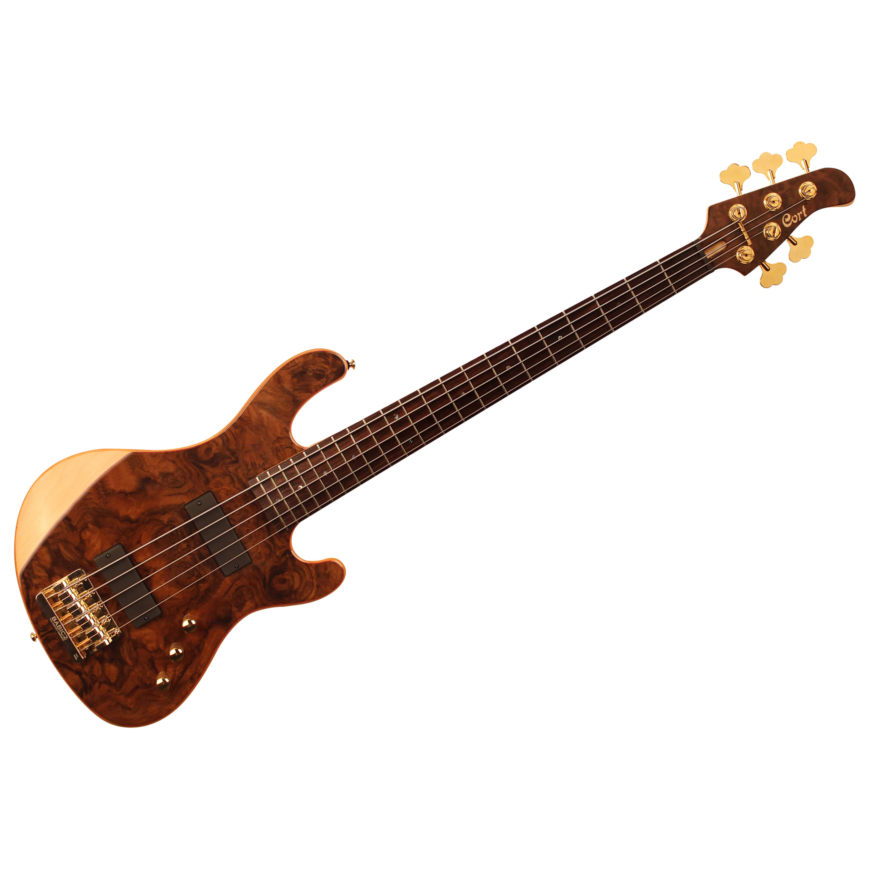 Cort Rithimic Jeff Berlin 5 Cordes - Basse électrique SonoVente.com