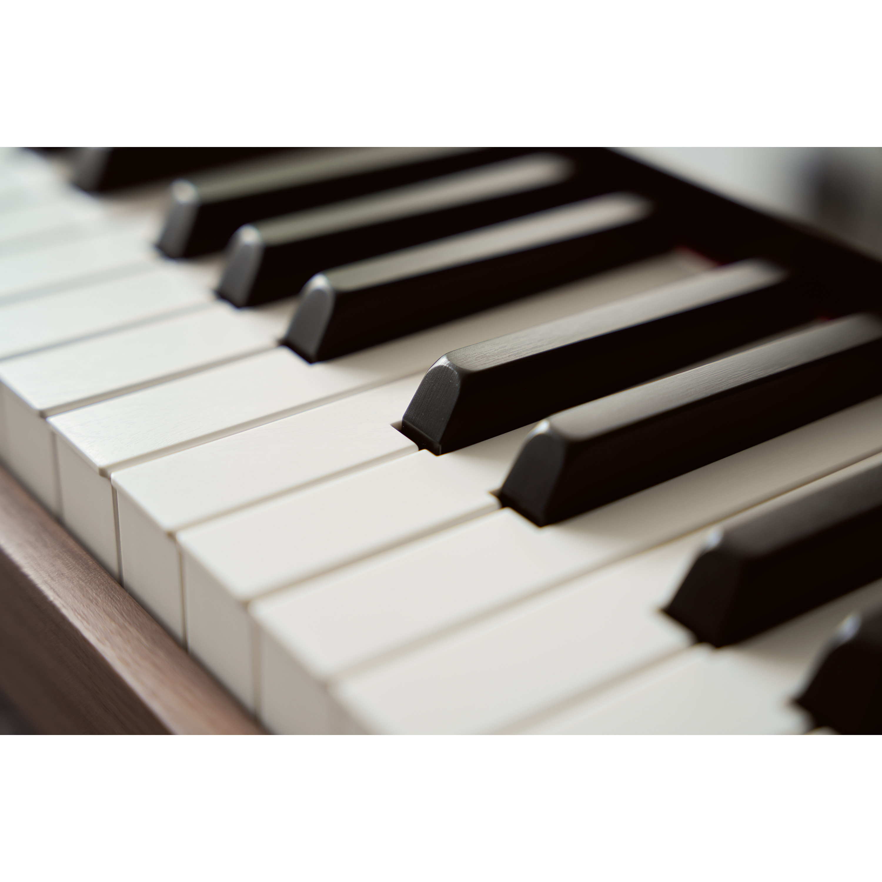 Casio PX-S6000 - Piano portable SonoVente.com