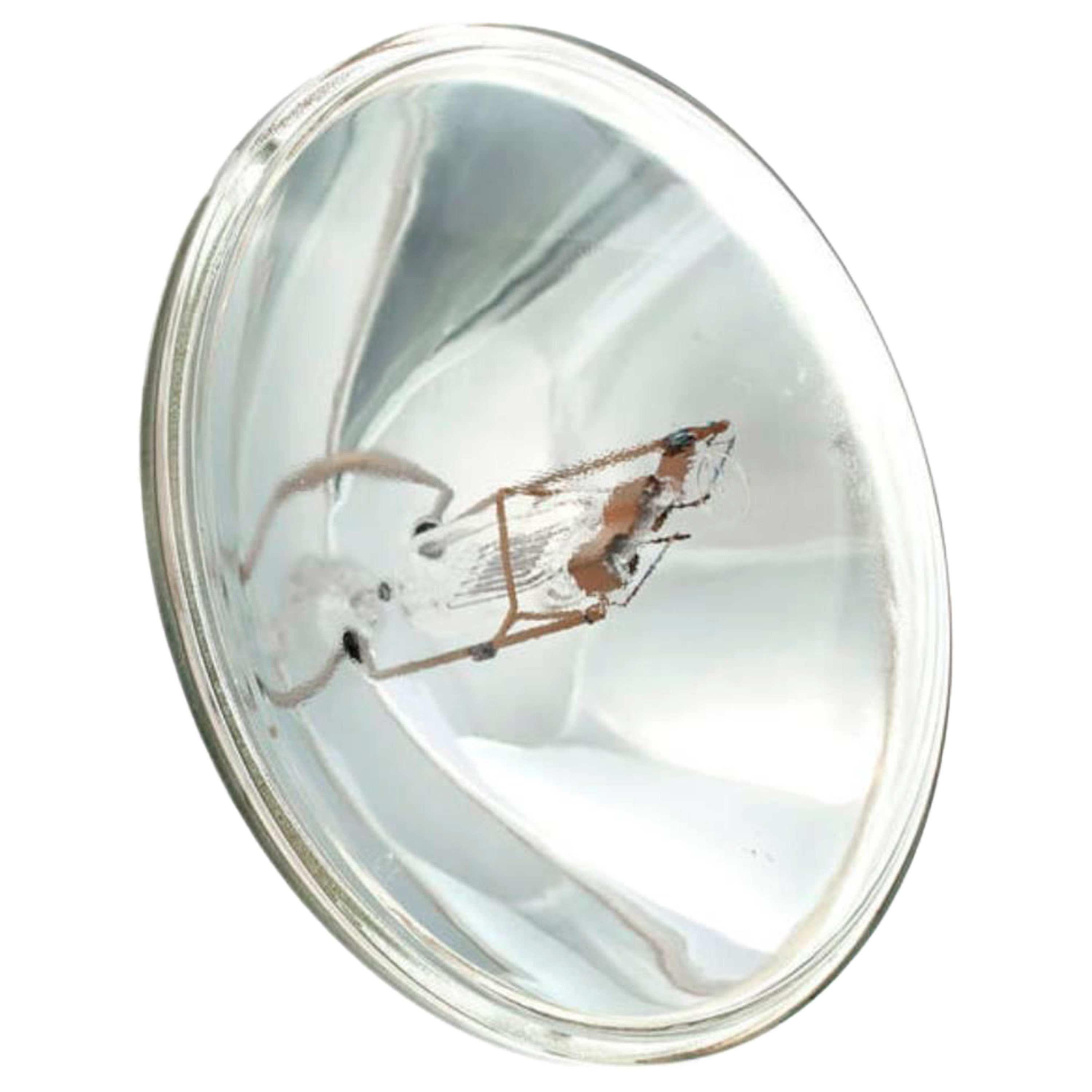 G.E. CP60 EXC - Lampe halogène SonoVente.com