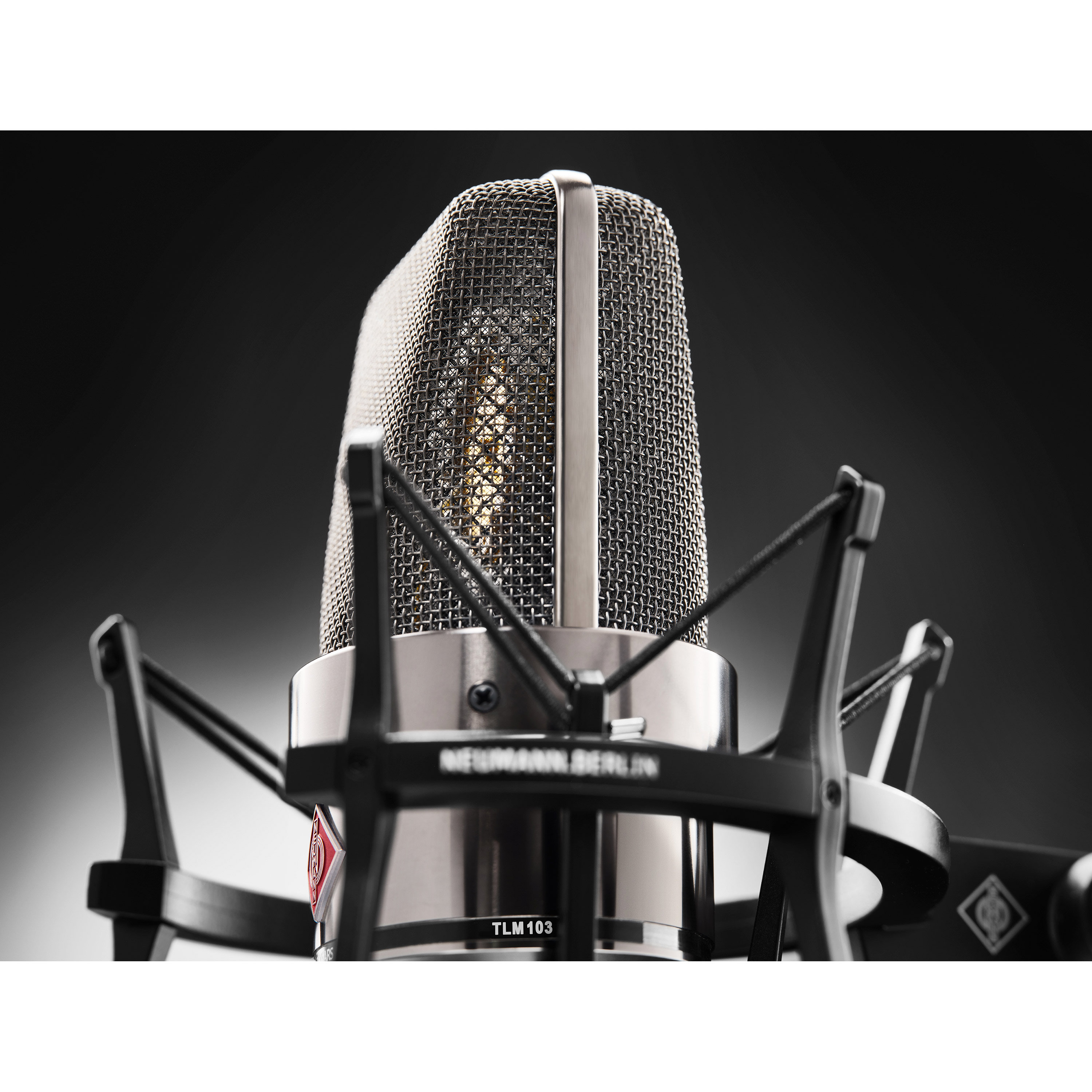 Neumann TLM 103 25 Years Edition - Micro statique SonoVente.com