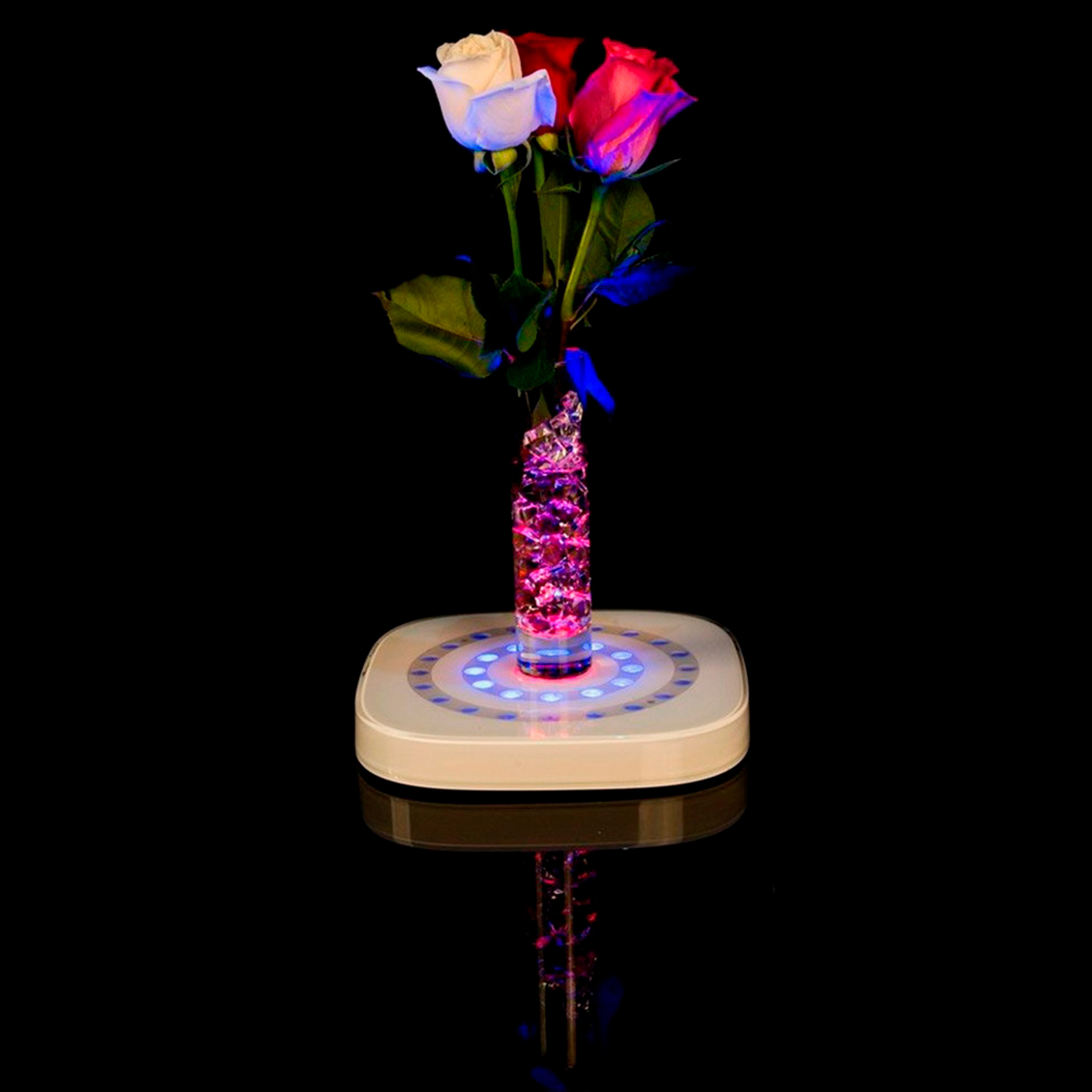 Chauvet Pack de 3 Freedom Centerpiece Set - Lumière déco LED SonoVente.com