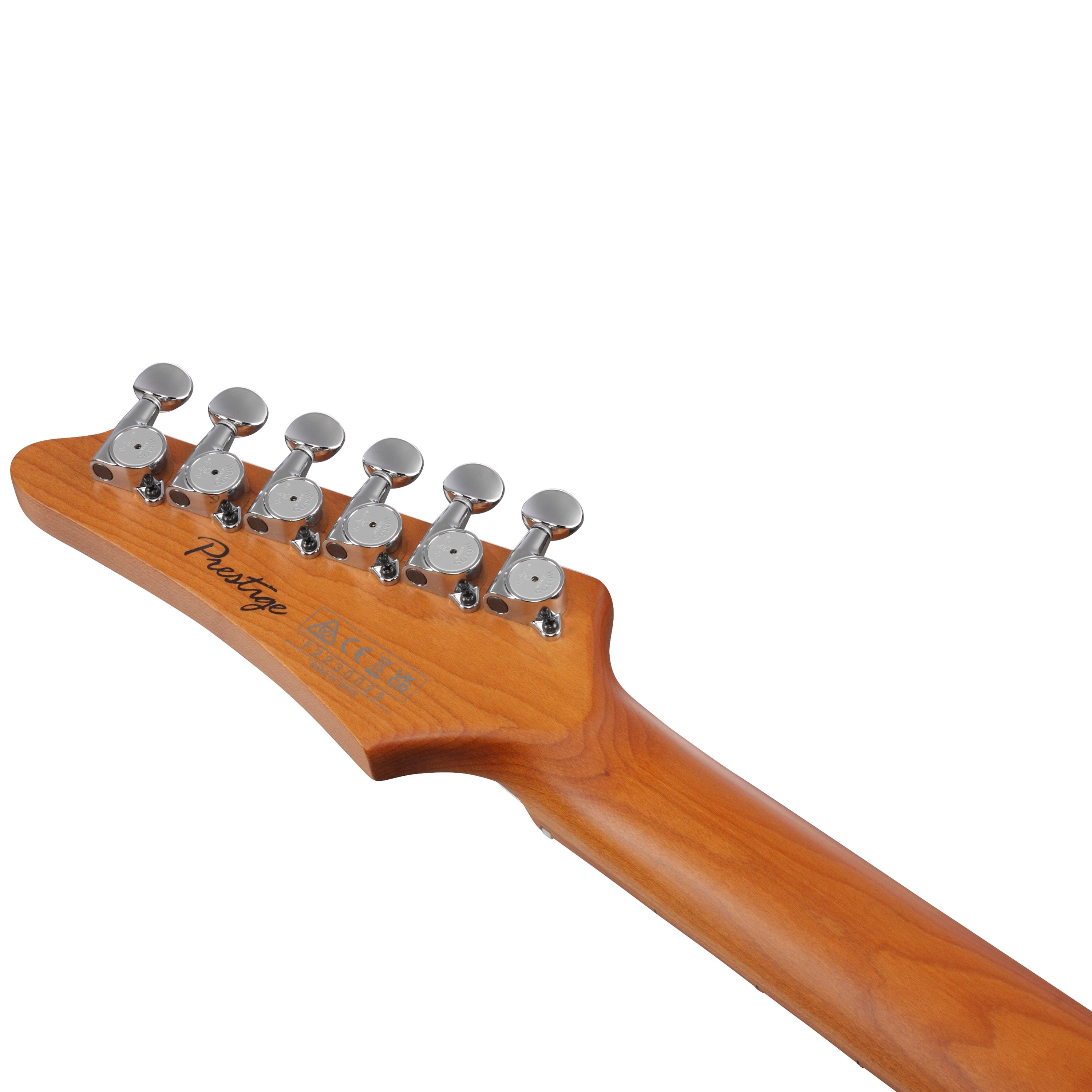 Ibanez AZS2209B BK - Guitare forme T SonoVente.com