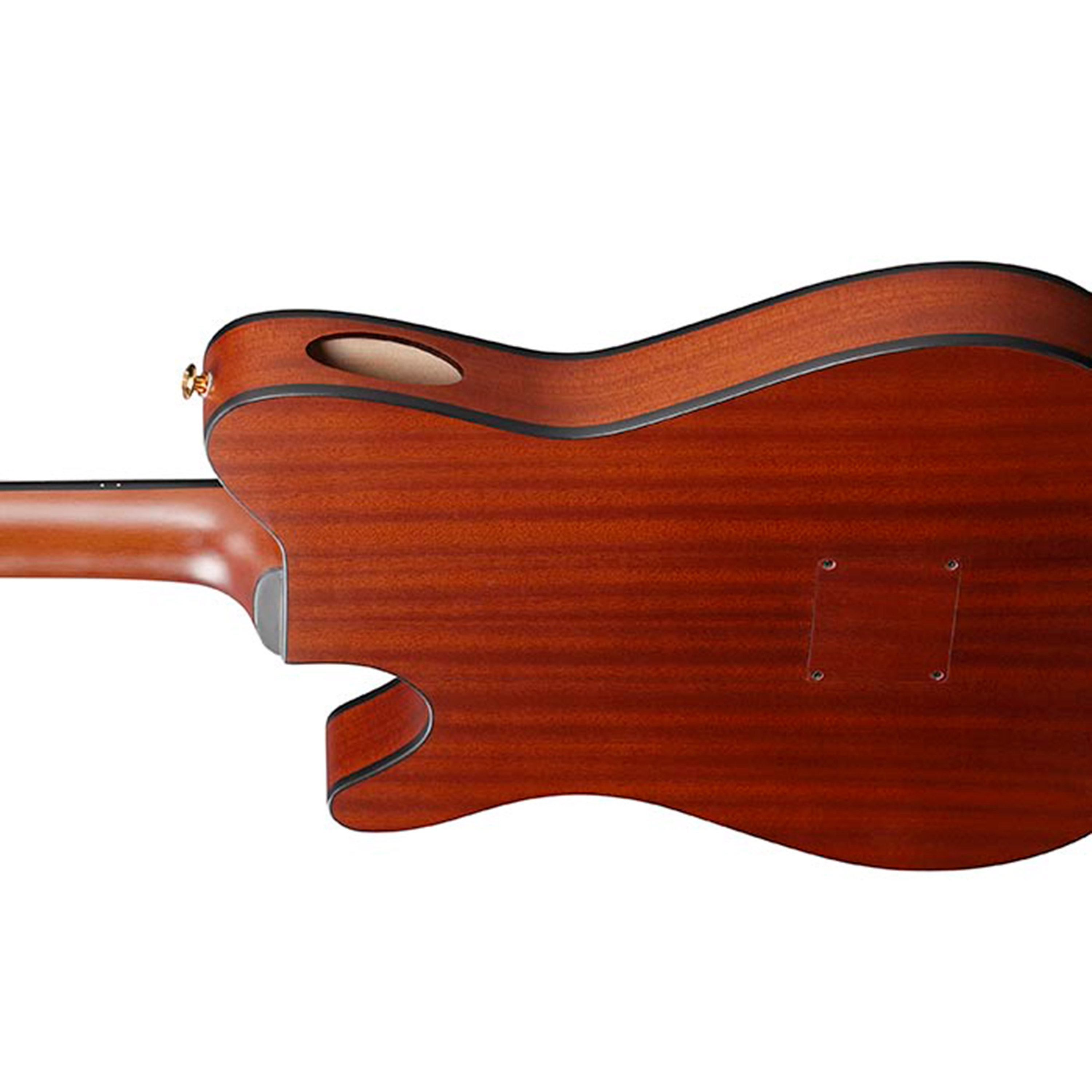 Ibanez FRH10N BSF - Guitare électro nylon SonoVente.com