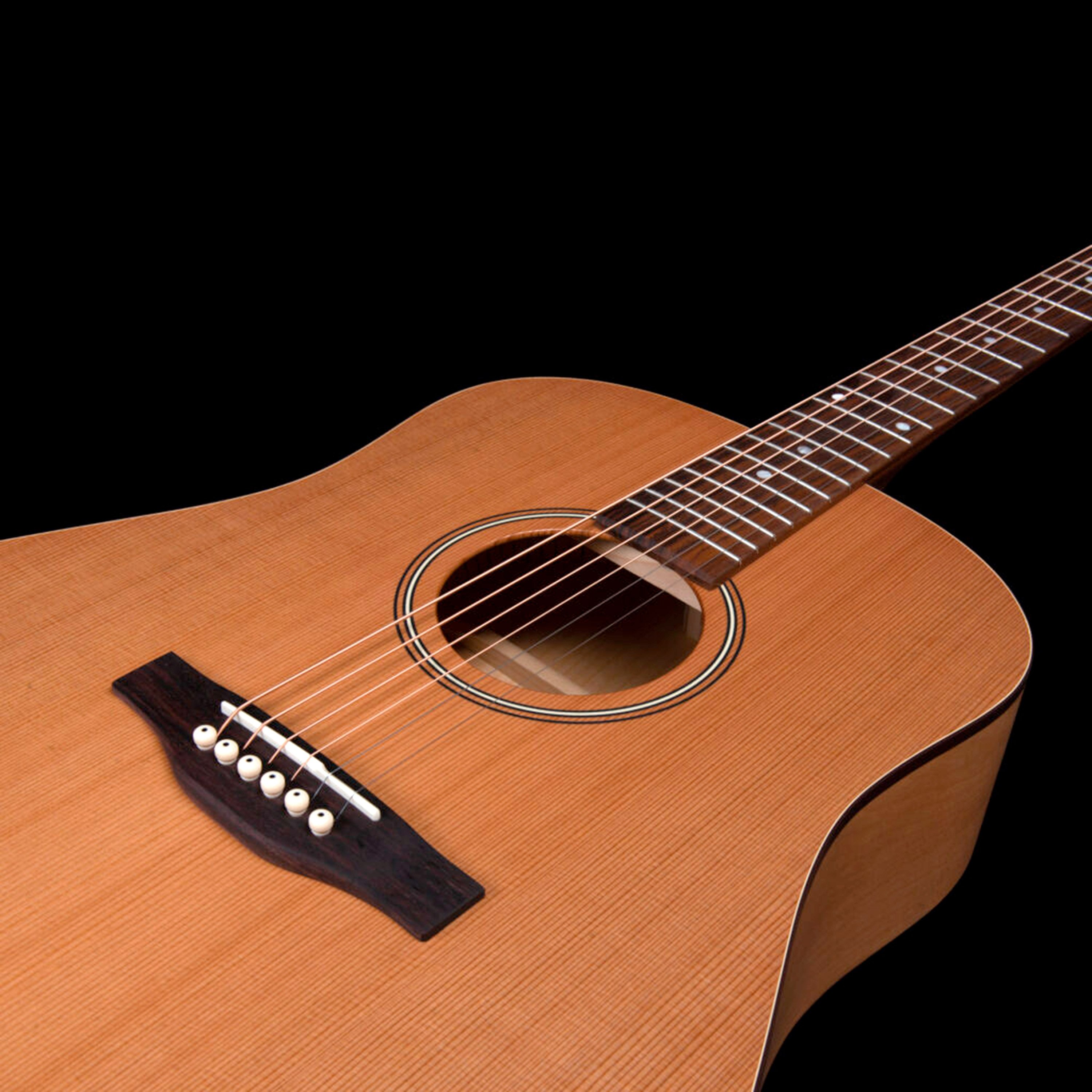 Seagull S6 Collection 1982 - Guitare folk SonoVente.com