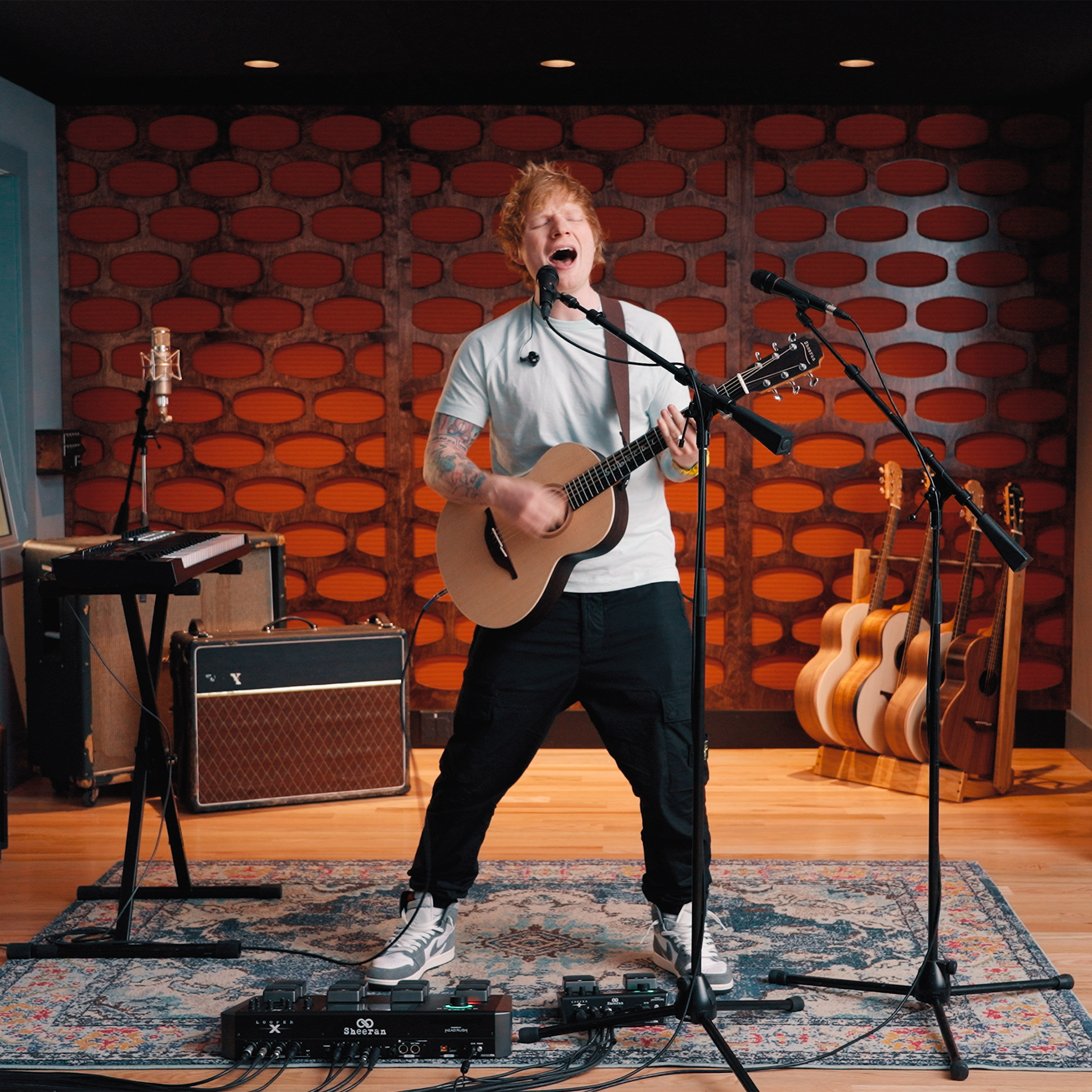 Sheeran Loopers Sheeran Looper Plus - Effets guitare électrique ...