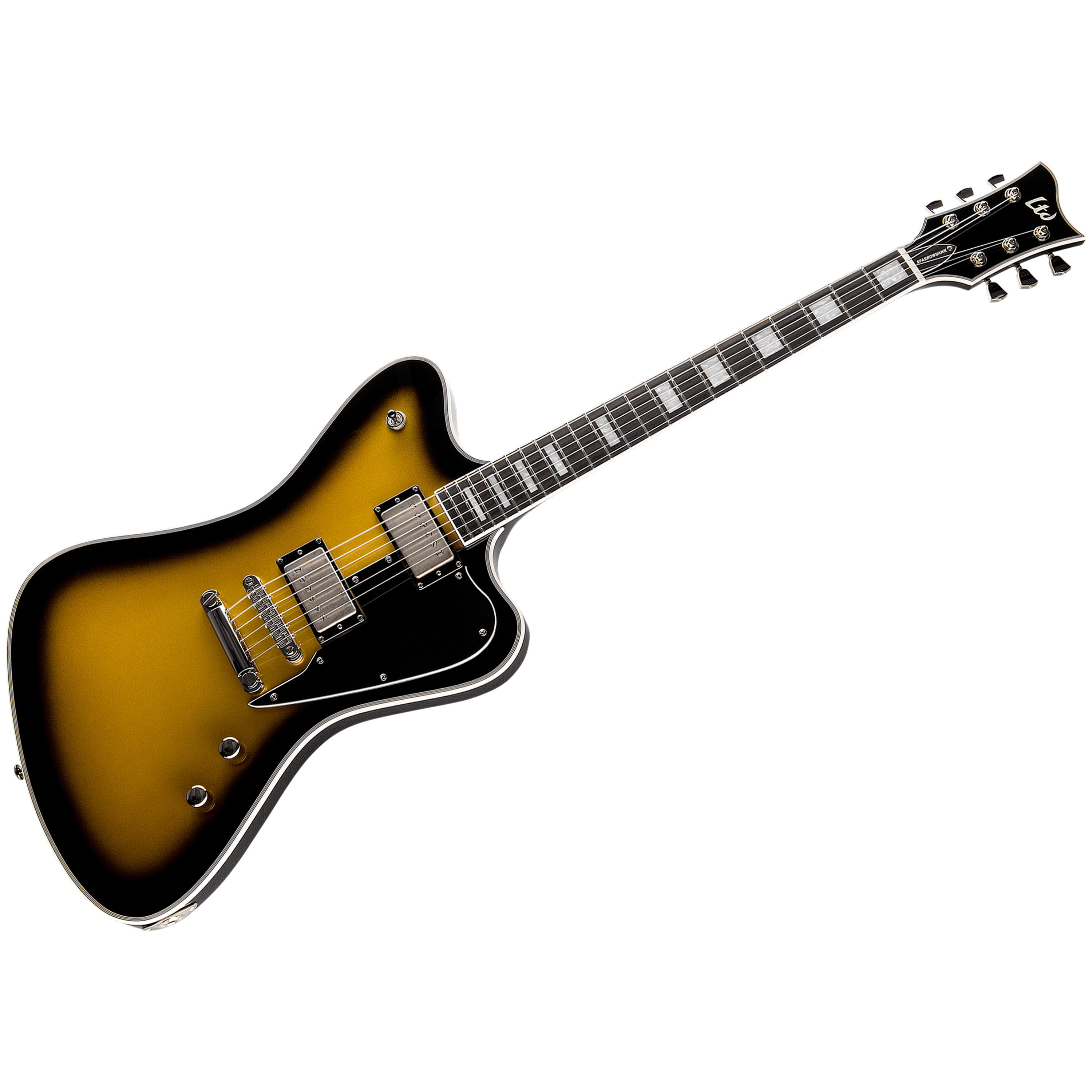 LTD Sparrowhawk Bill Kelliher Signature Vintage Silver Sunburst + Etui ...