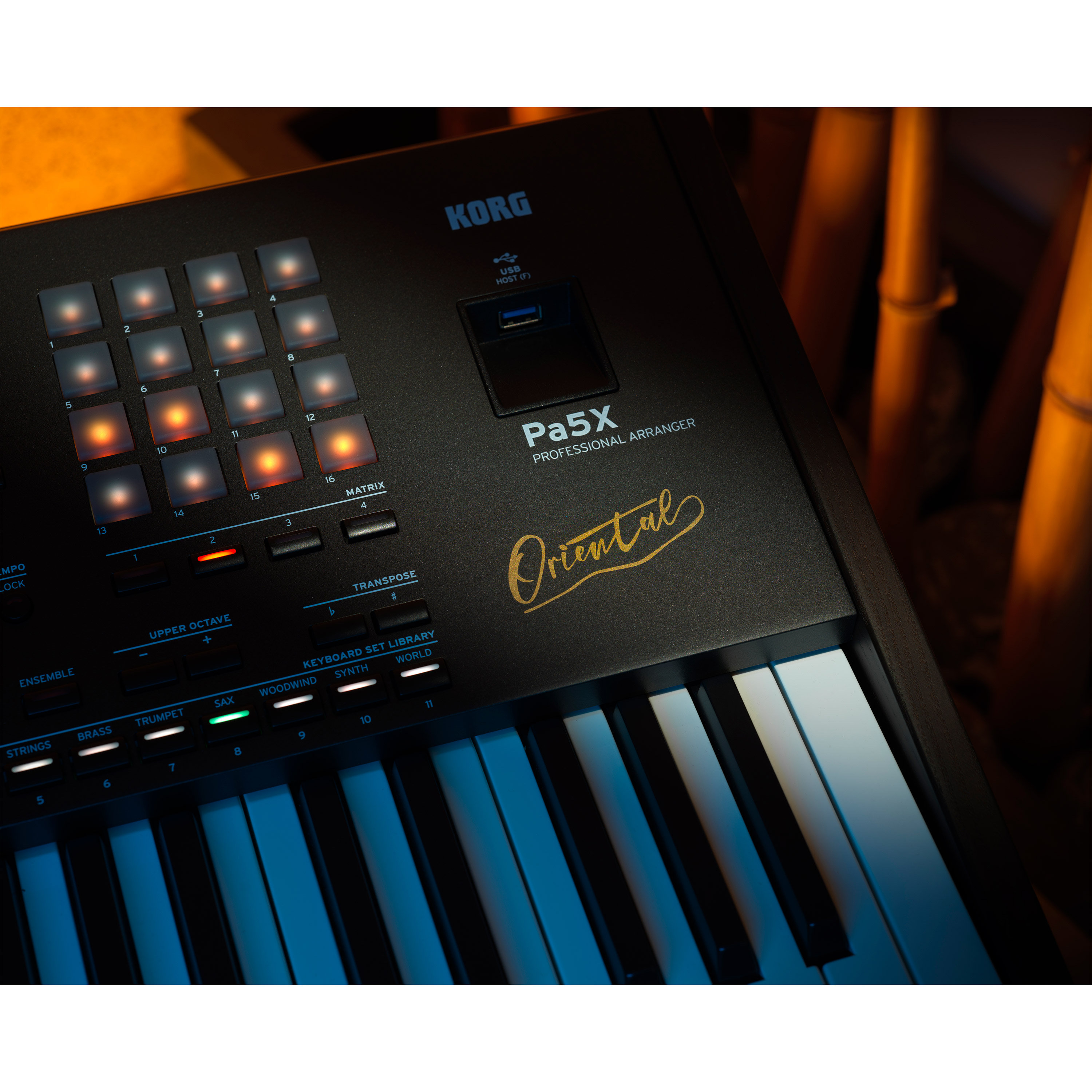Korg Pa5X 76 Oriental - Clavier toucher dynamique SonoVente.com