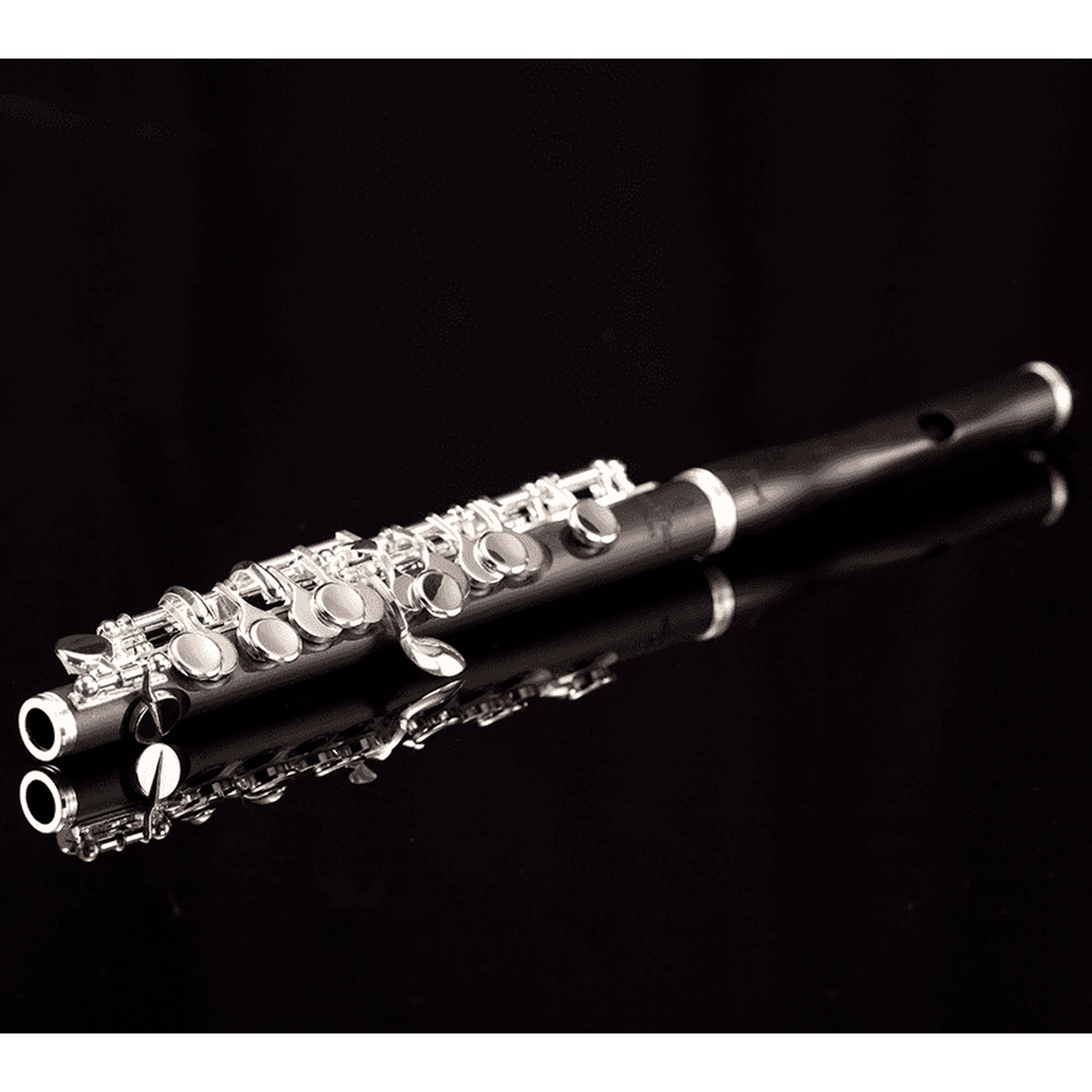 Pearl Flutes PFP165ES - Fluit en piccolo SonoVente.com - nl