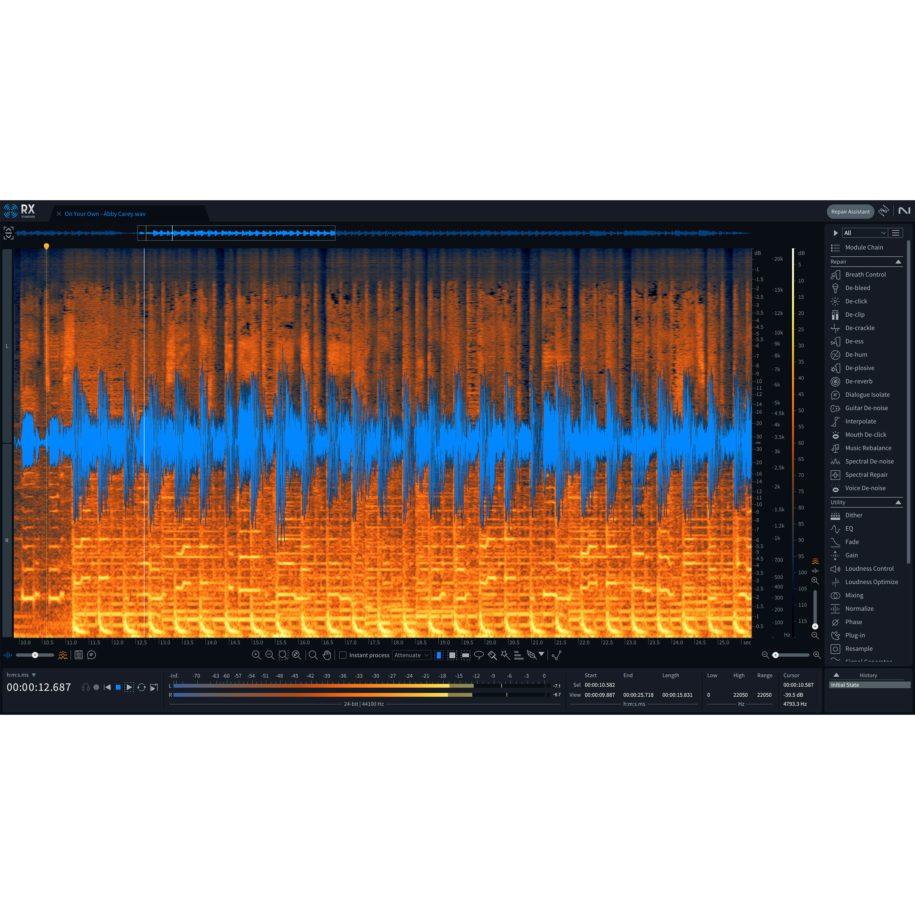Izotope RX 11 Standard Upg RX Std/Adv/PPS (licence) - Plug-in software ...